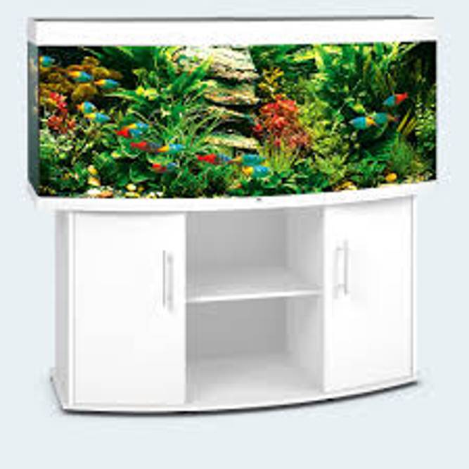 Møbelakvarium - KS-Zoo